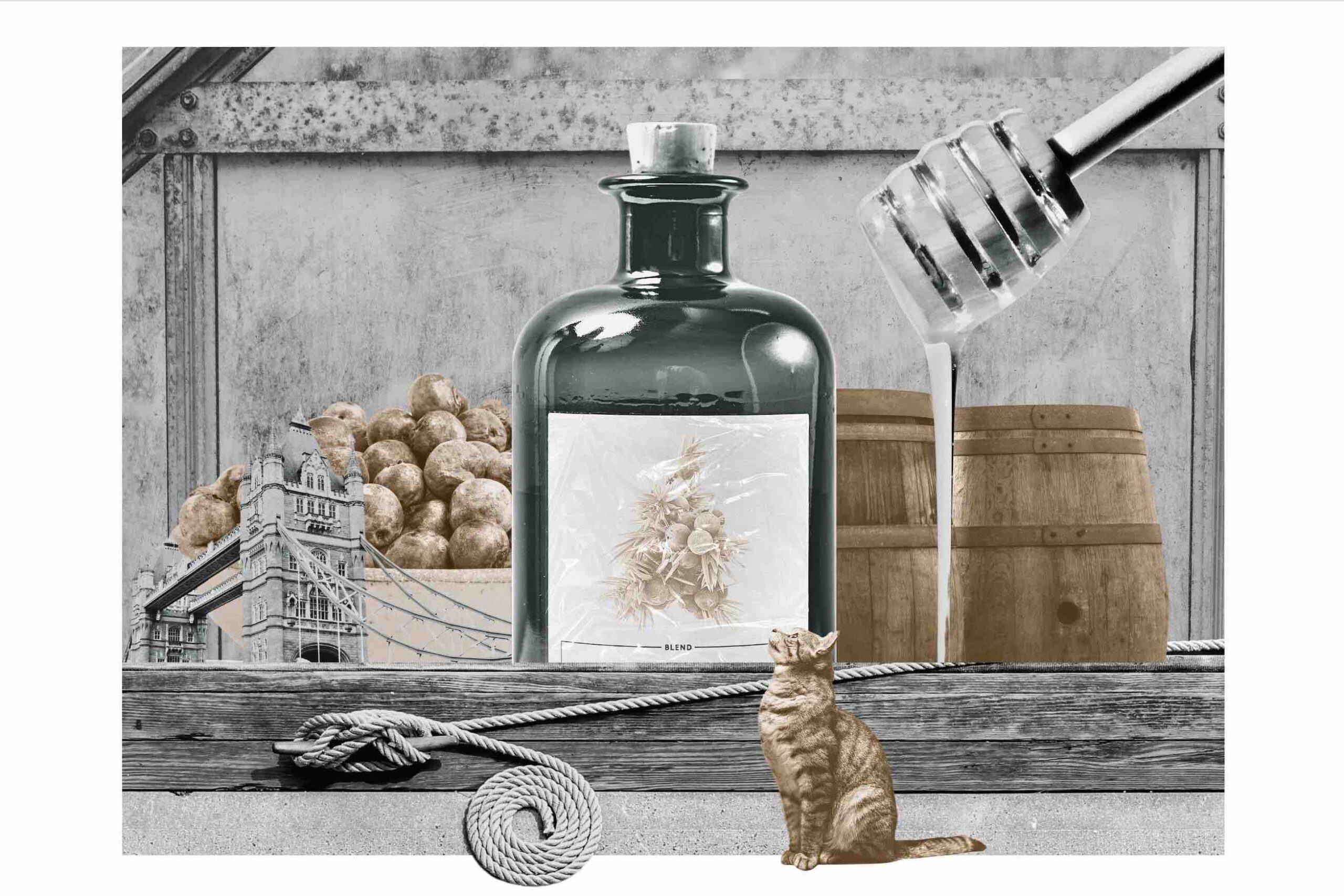 Gin Styles: How distillers can meet discerning expectations