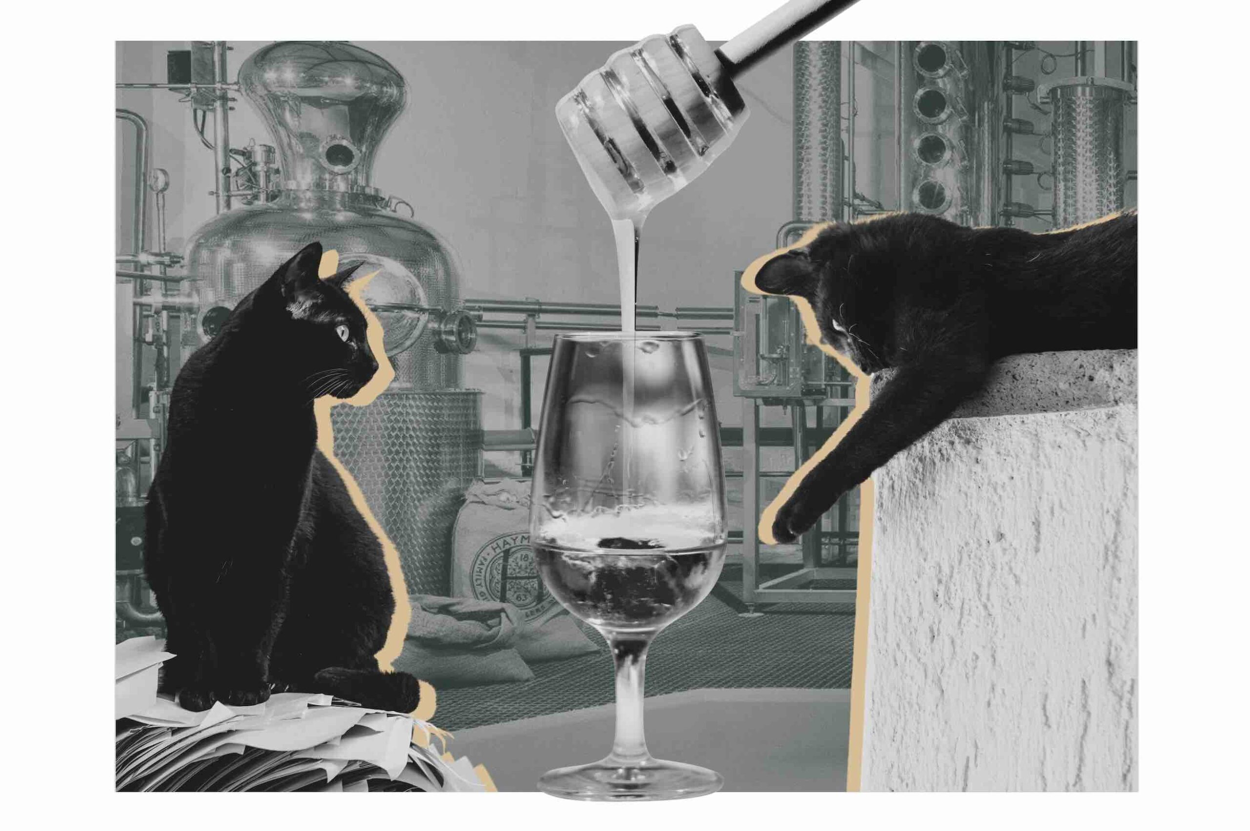 Curiosity and the cat: What is Old Tom Gin